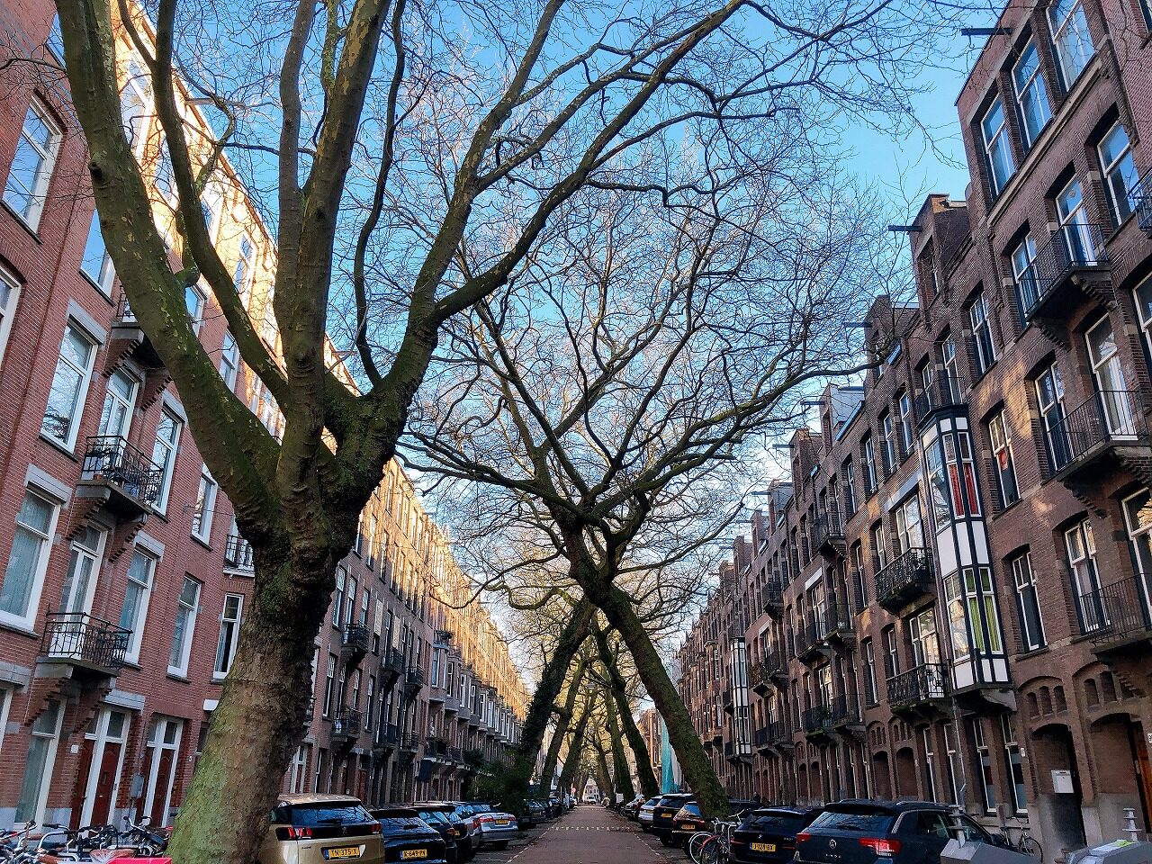 【オランダ】アムステルダムのロマン通り│オランダjp